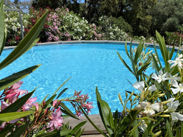 Mini Villa Ghjulia Classée - Piscine 100% Privée - Corse