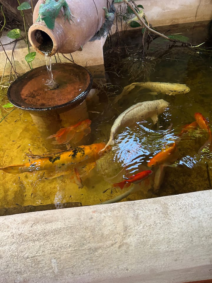 Apartment Flor 2 - Puerto Morelos