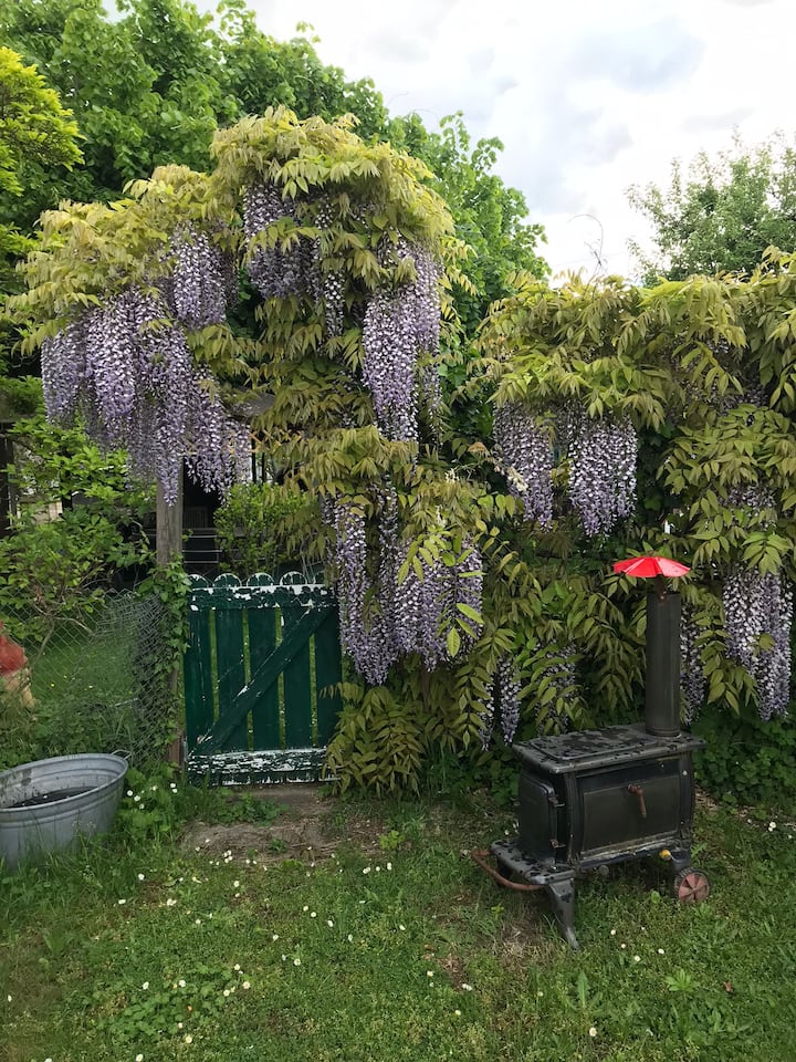 Le Paradis - Lake Geneva