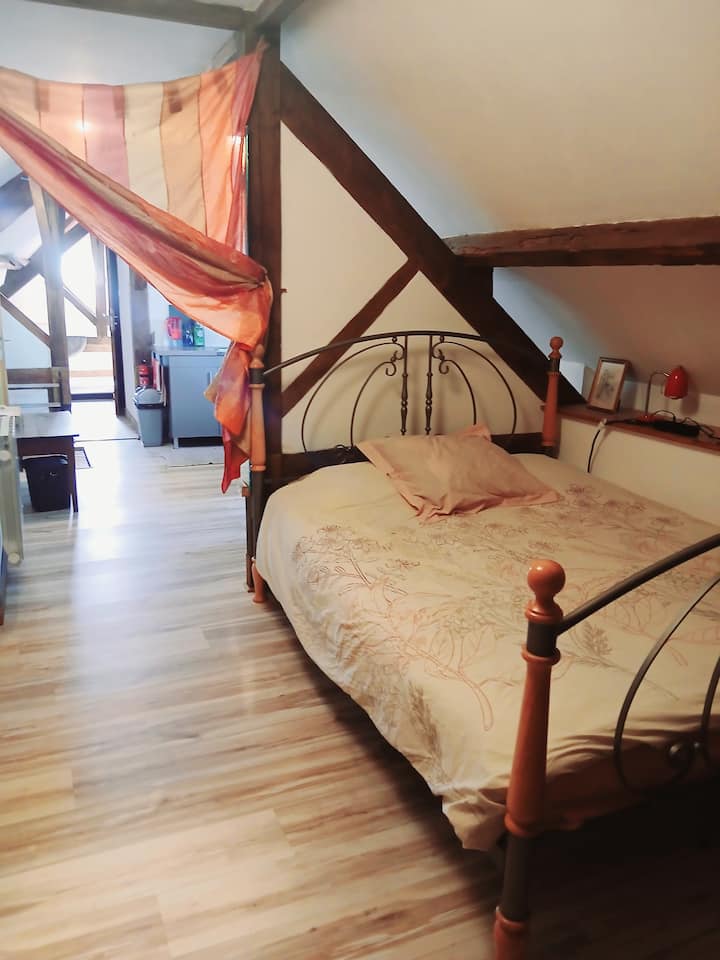 Charmant Loft En Plein Centre Ville - Parthenay