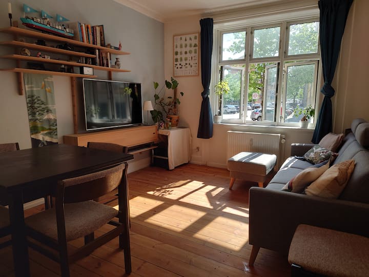 "Hyggeligt" Typical Copenhagen Apartment - Copenhague