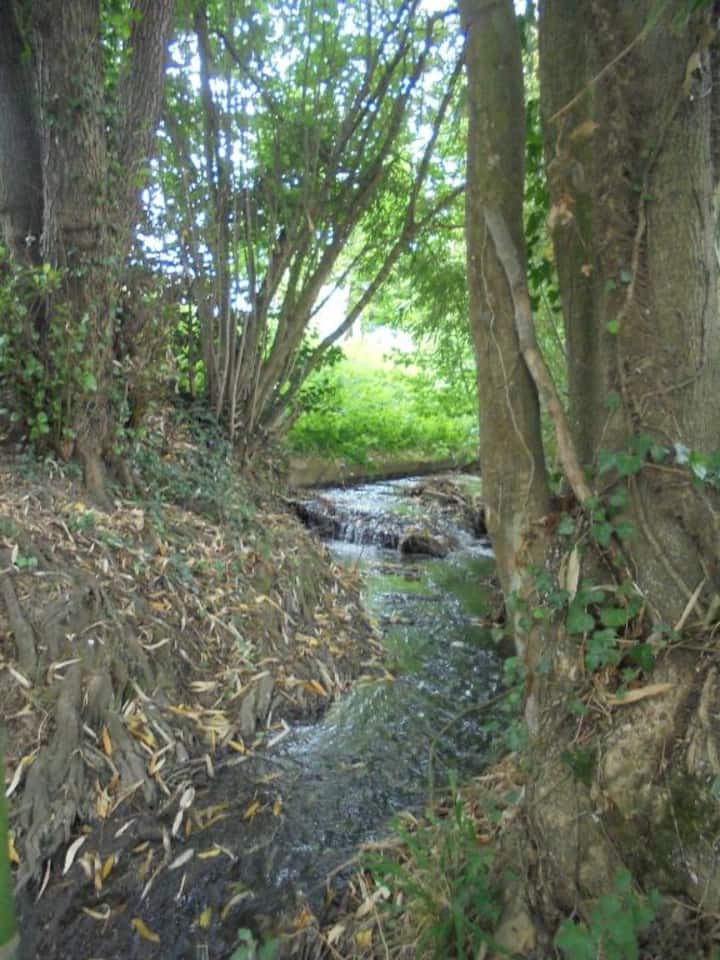 Près De Villefranche-sur-saône Gite Au Calme - Ibis Villefranche Sur Saone