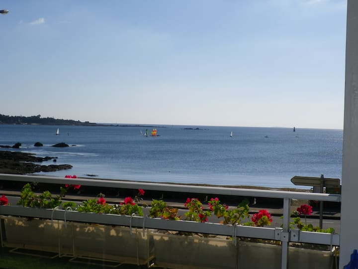 Concarneau : T2,  Pleine Vue Mer,  Parking, Wifi - Trégunc