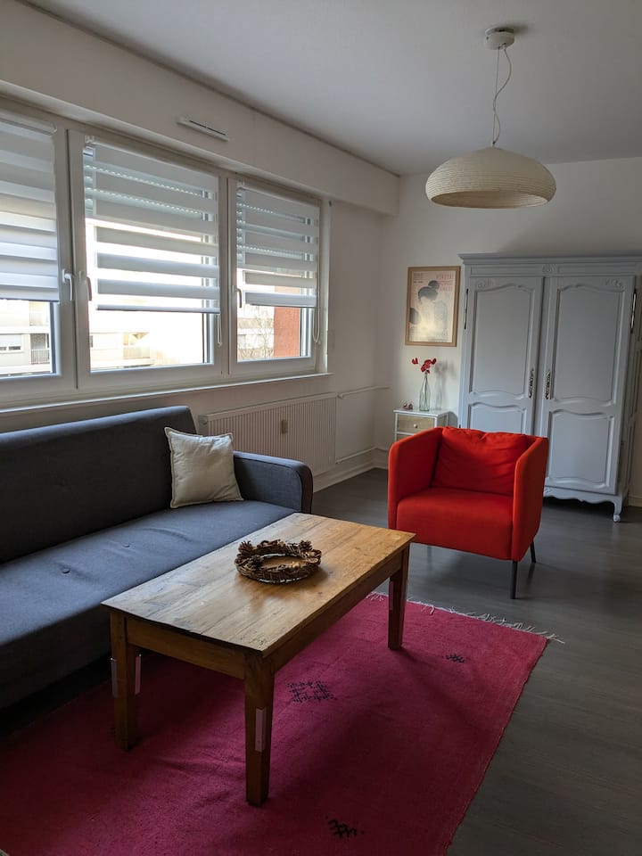 Appartement Proche Du Campus - Strasbourg