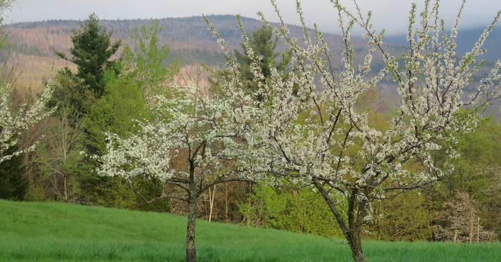 Metta Earth Farm South Suite - Vermont