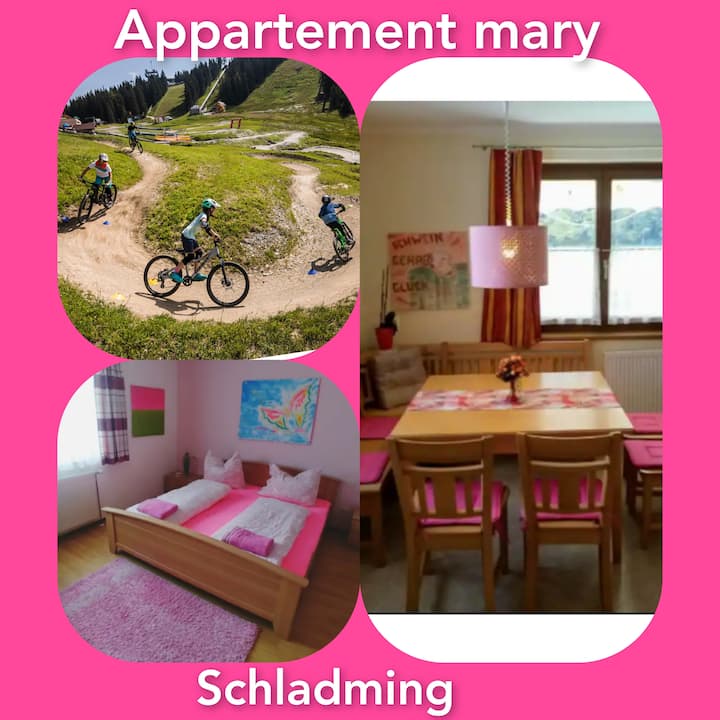 Appartement Mary Direkt In Schladming. - Schladming