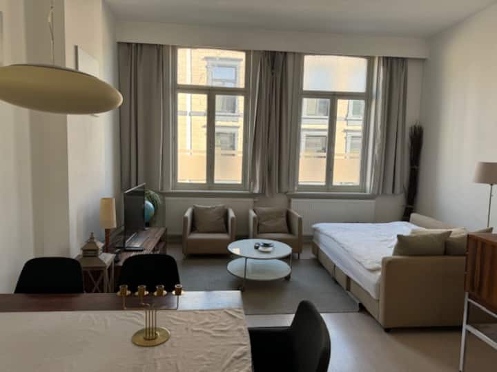 Bright Apartment In Trendy Antwerp South District - Antwerp