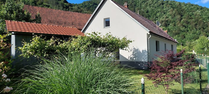 Country House Near River Kolpa - Osilnica