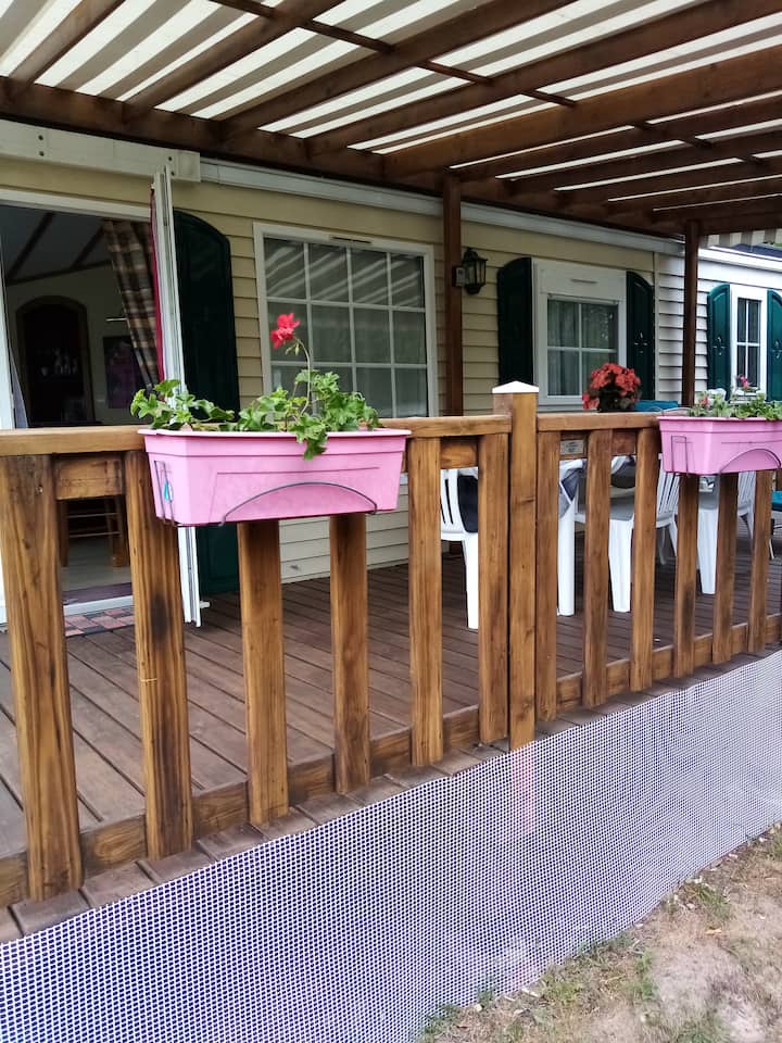 Bienvenue Chez Momo - La Tremblade