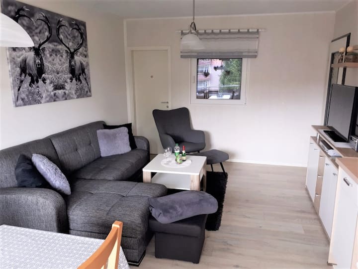 Zobel Apartment E336 In Harz Mountains - Altenau