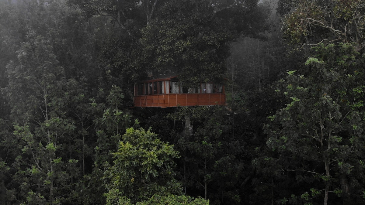 Karnataka Treehouse Holiday Rentals - India | Airbnb