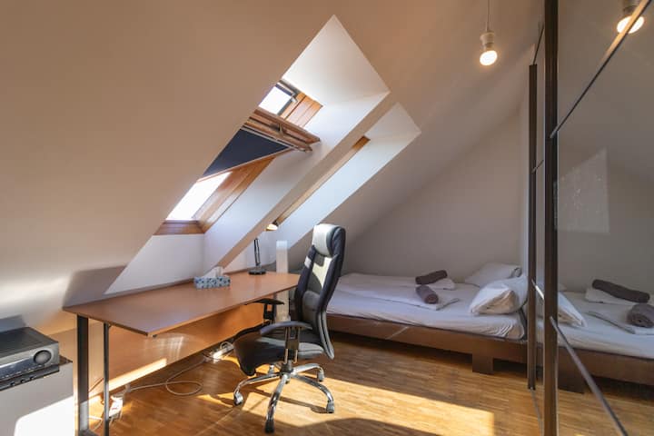 City Center Attic Room With Terrace Access + Ac - Graz