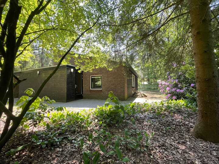 Spacious And Modern Holiday House, Vechtdal! - Ommen