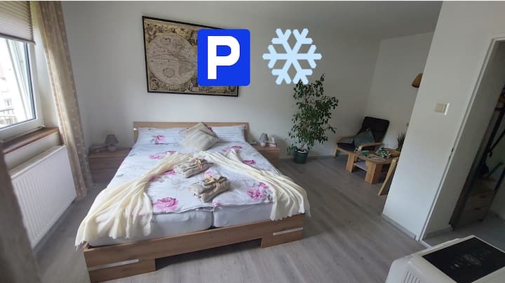 Pension Ringo, Airport Und Bahnhof In Der Nähe - Baden-Baden