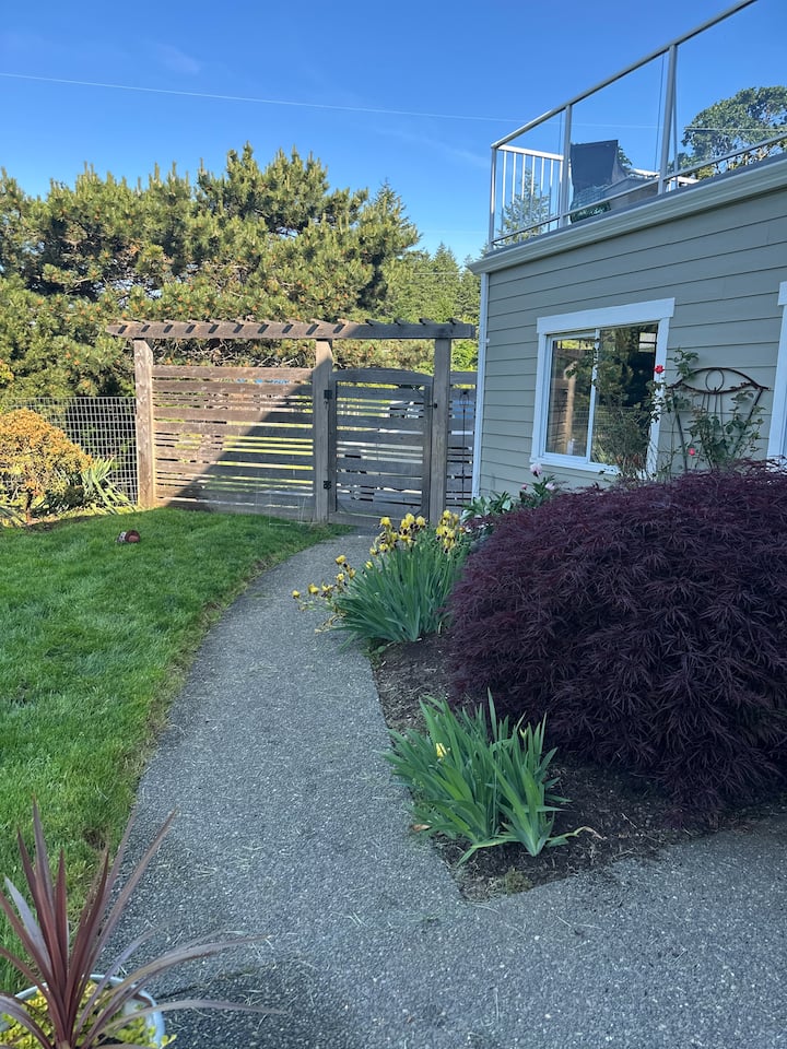 Sand Dollar Escape - Comox