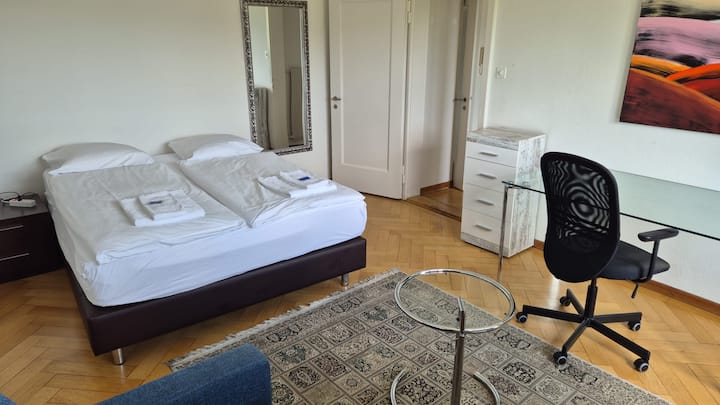 Very Spacious Studio With Balcony (Parkview 2) - Canton de Zürich