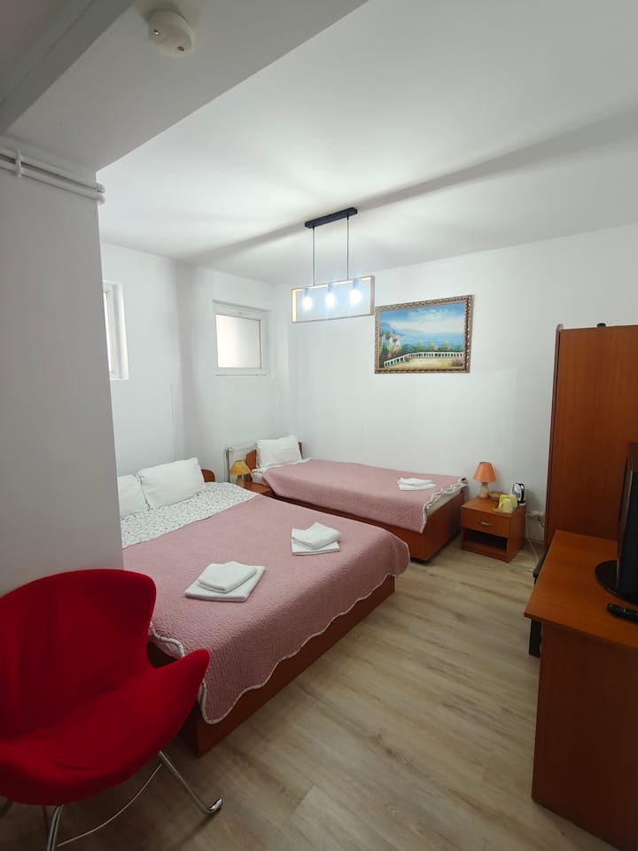 Flower's (02) Accommodation At Nr.2 Plantelor Str. - Bucharest