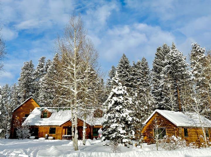 Moose House In Perfect Location! - Winter Park, CO