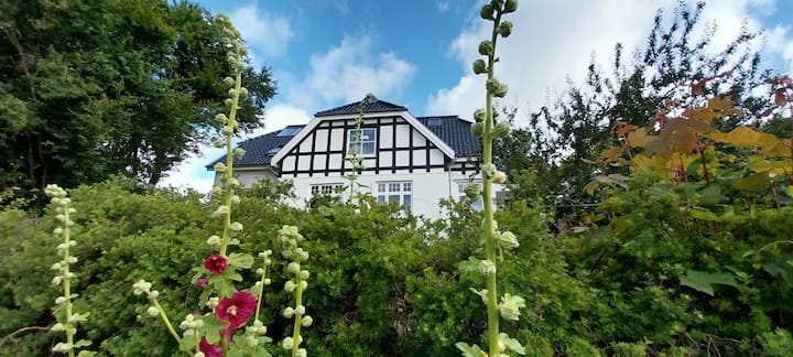 Spacious Boheme-luxury Close To City Center - Aarhus