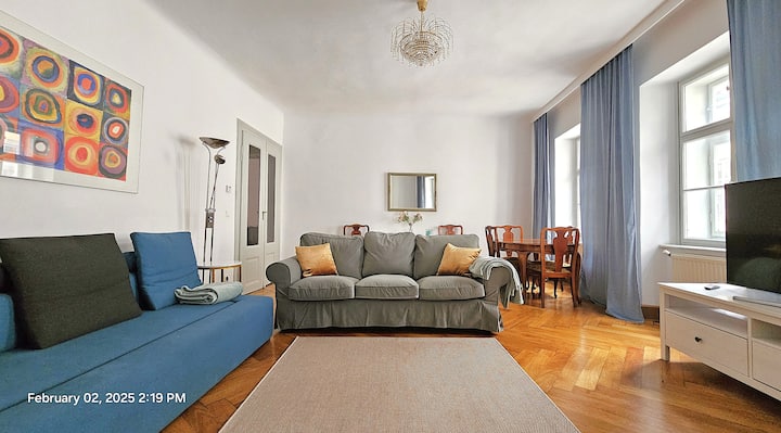 Heart Of Center -Year 1754 Vintage Apartment 160m² - Vienne