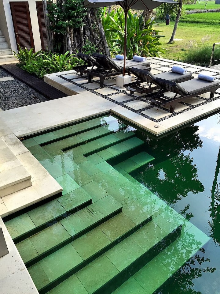 Outstanding Architects Villa In Seseh/pererenan - Bali