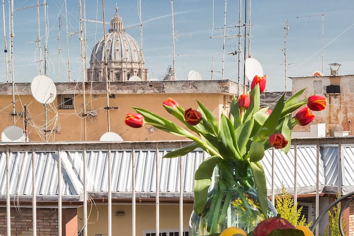 Dome Terrace Design And Amazing S. Pietro View - Vatikánváros