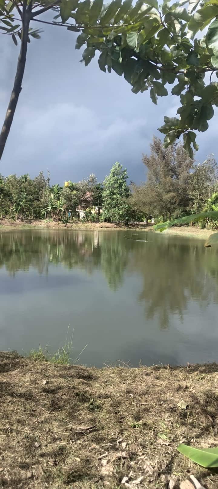 Little Flower Estate, South Kodagu - Kodagu
