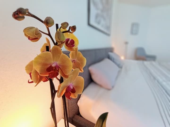 Lovely Apartment In Lucerne Area. - Lucerne