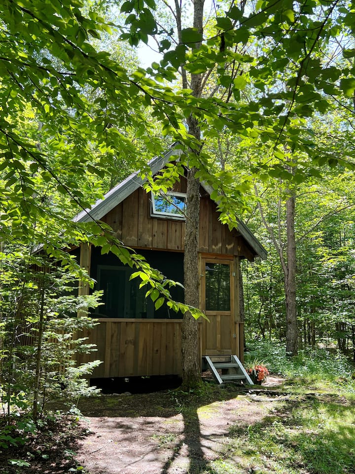 Woodland Cabin & Gallery - Ontario