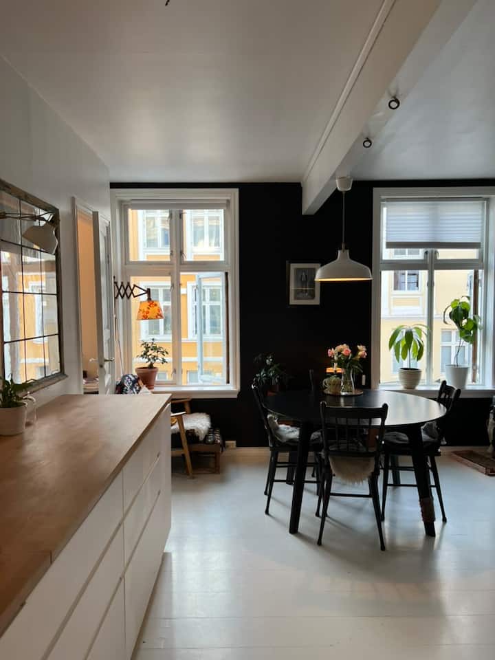 Gunnhild's Apartment - Bergen