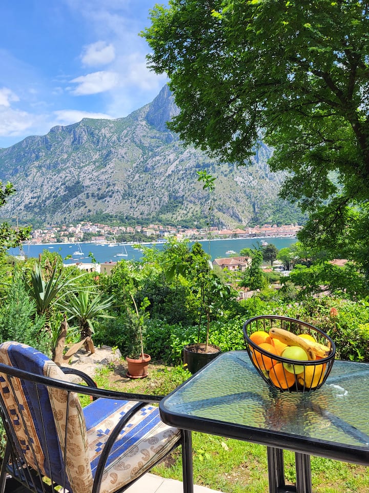 Apartment Gušt - Kotor