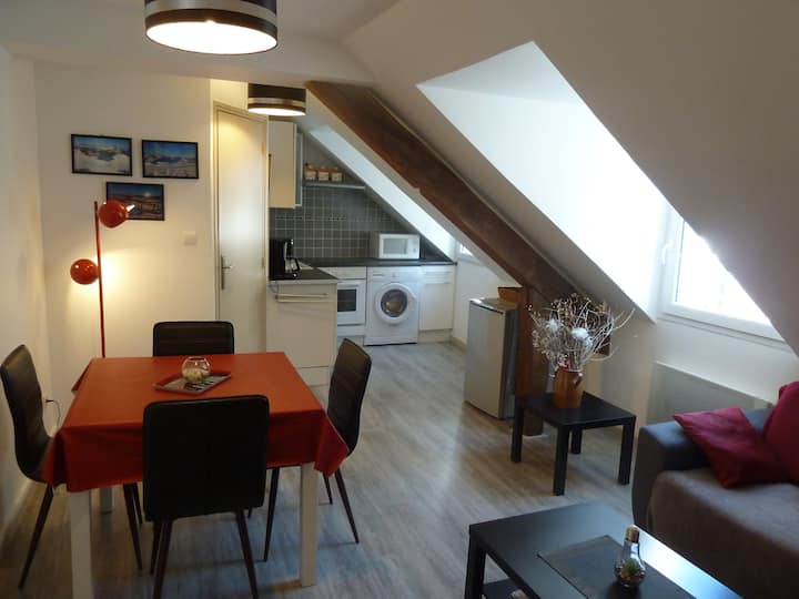 Appartement Au Centre Du Mont Dore - Chambon-sur-Lac