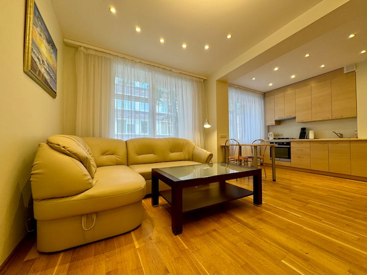 Nearby Old Town & Ferry Apartment - Lithuania