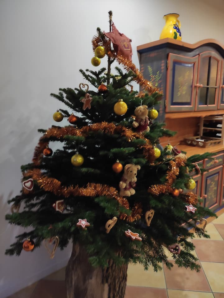 Proche De Colmar Et Des Marchés De Noël - Cernay