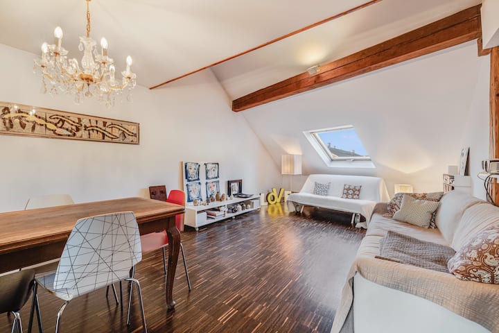 Calm Apartement With Sunny Terrace - Bâle