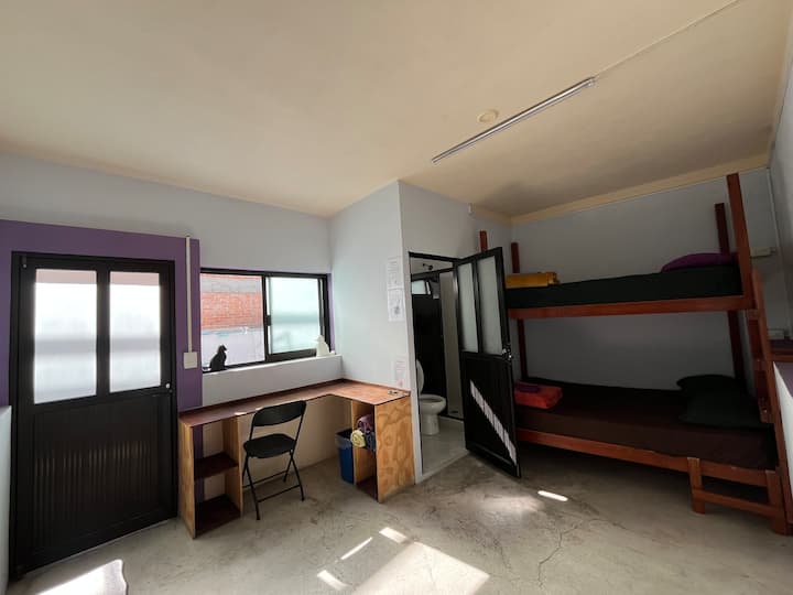 Private Room W/ Desk & Bath Near Downtown - Aguascalientes