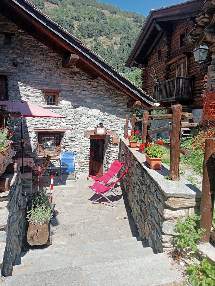 Home Sweet Home - Chamois