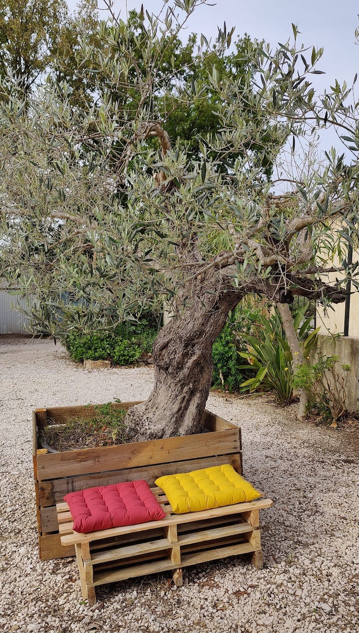 2 Logements Pour Les Grandes Familles (Climatisés) - Hyères
