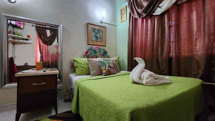 Cozy Retreat W/gym, Wi-fi, Near Bridgetown & Beach - Barbados
