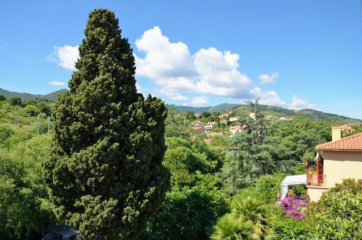 Bel Appartement-balcon-vue Dégagée-proche Plage - Collioure