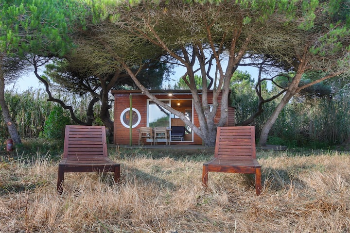 The Secret Tree Cabin - Portugal