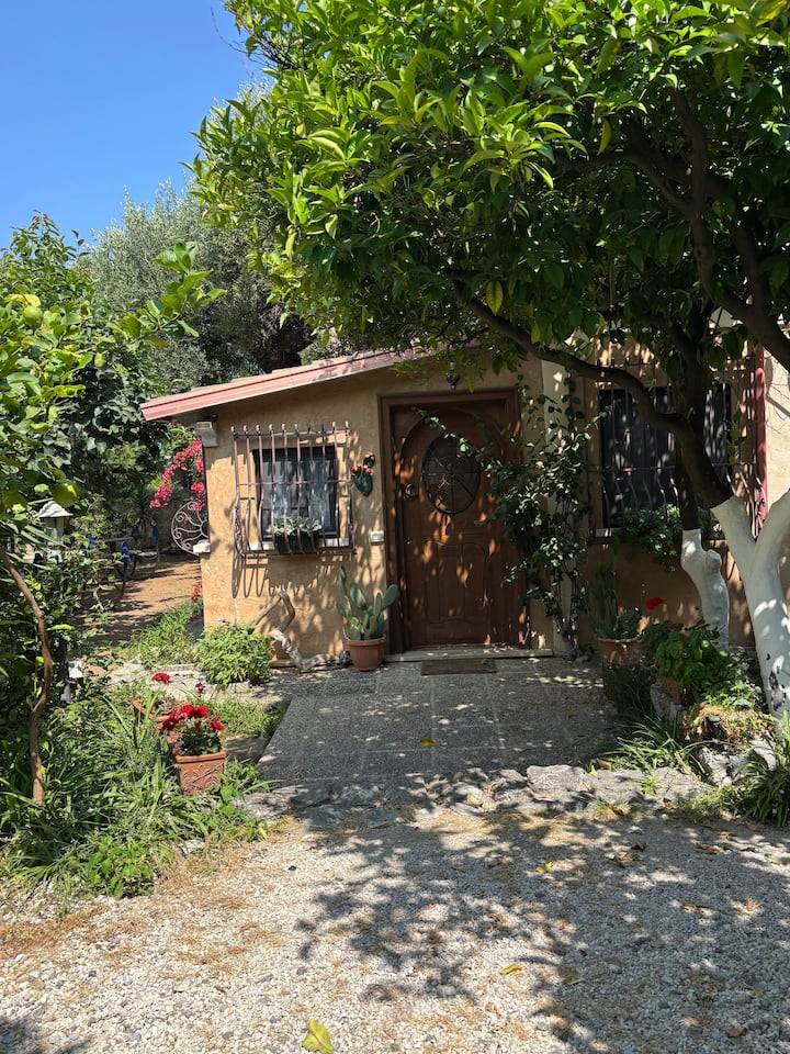 Villino Troccoli, Casa Morena - Italia