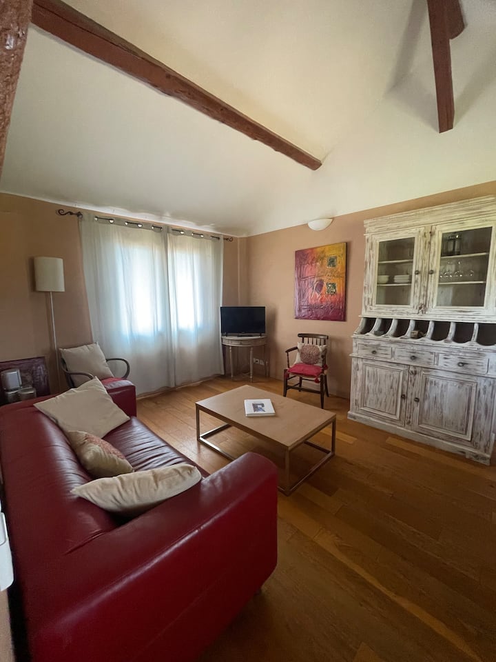 Gite Des Vendangeurs- Petite Camargue - Saint-Gilles