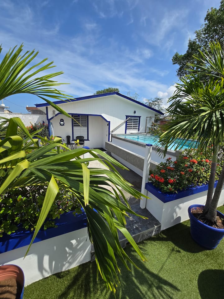 Techo Privado Con Piscina Y Jardín - San Juan