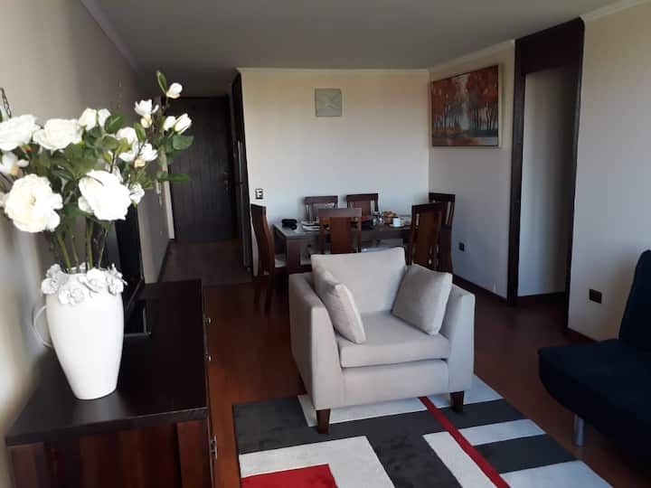 Departamento Vina Del Mar San Martin - 비냐델마르