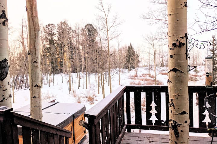 Hot Tub, Aspen Meadow, Fireplace, Starlink Wifi - Fairplay