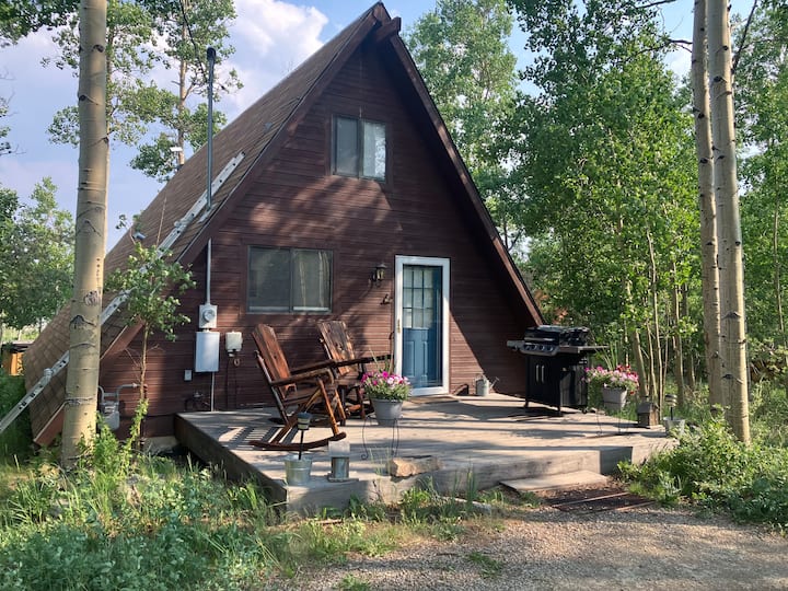 Hot Tub, Aspen Meadow, Fireplace, Starlink Wifi - Colorado