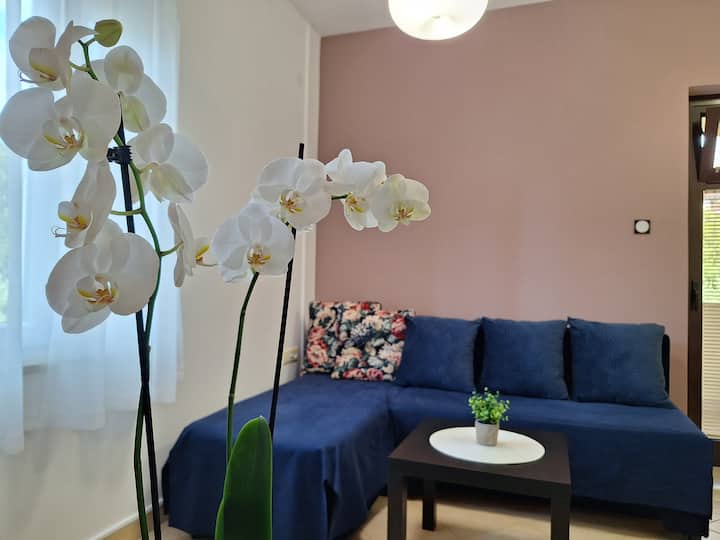 Charming Apartment - Poreč