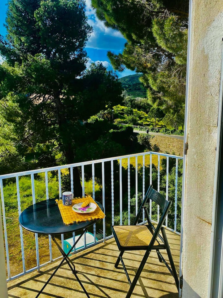 Collioure, Bel Appartement Avec Parking Et Vue - Collioure