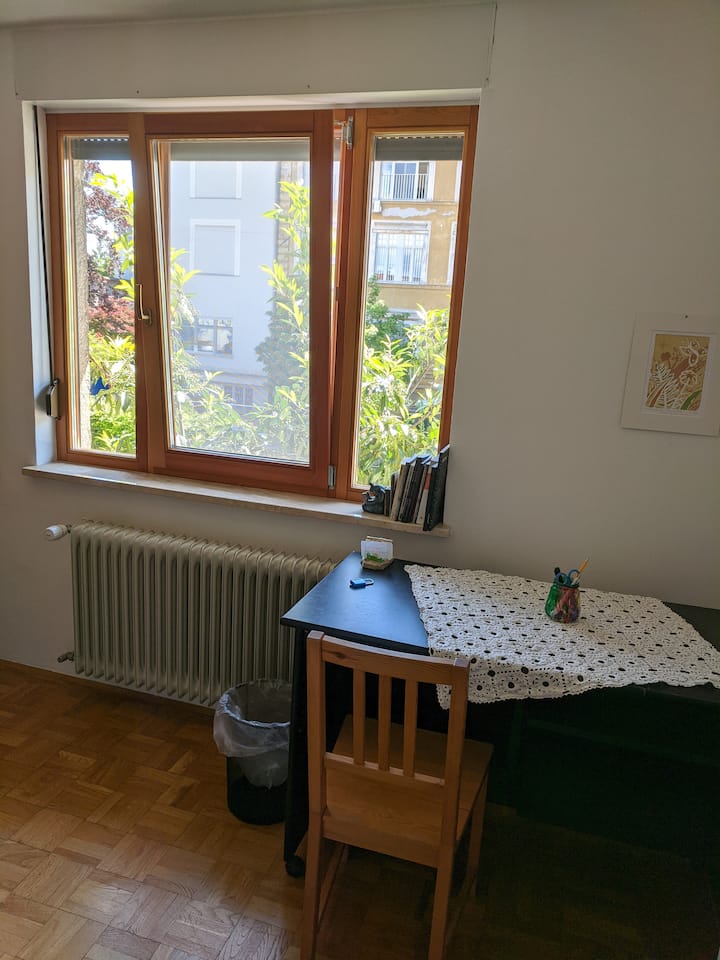 Private Room In The Centre - Ljubljana